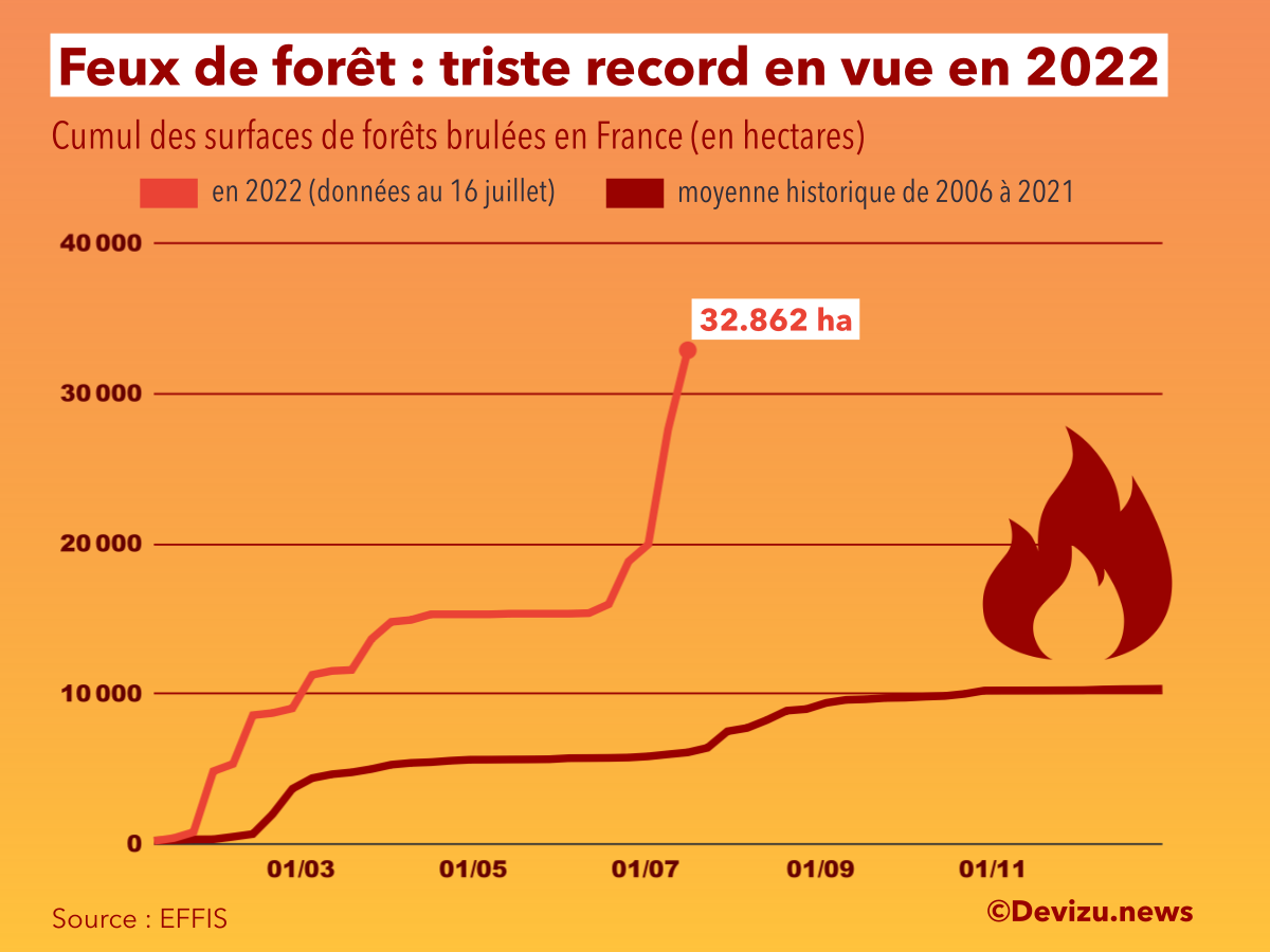 Feux De Forêt Mi Juillet Les Incendies En France Ont Déjà Fait Plus